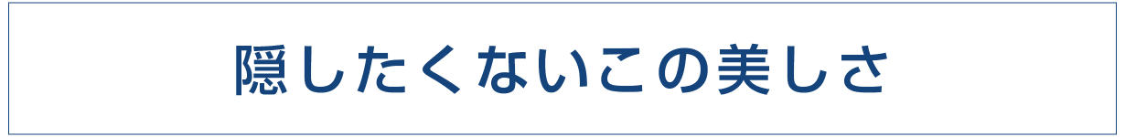 ARES-モニターアーム | sanmibest｜サンミベスト